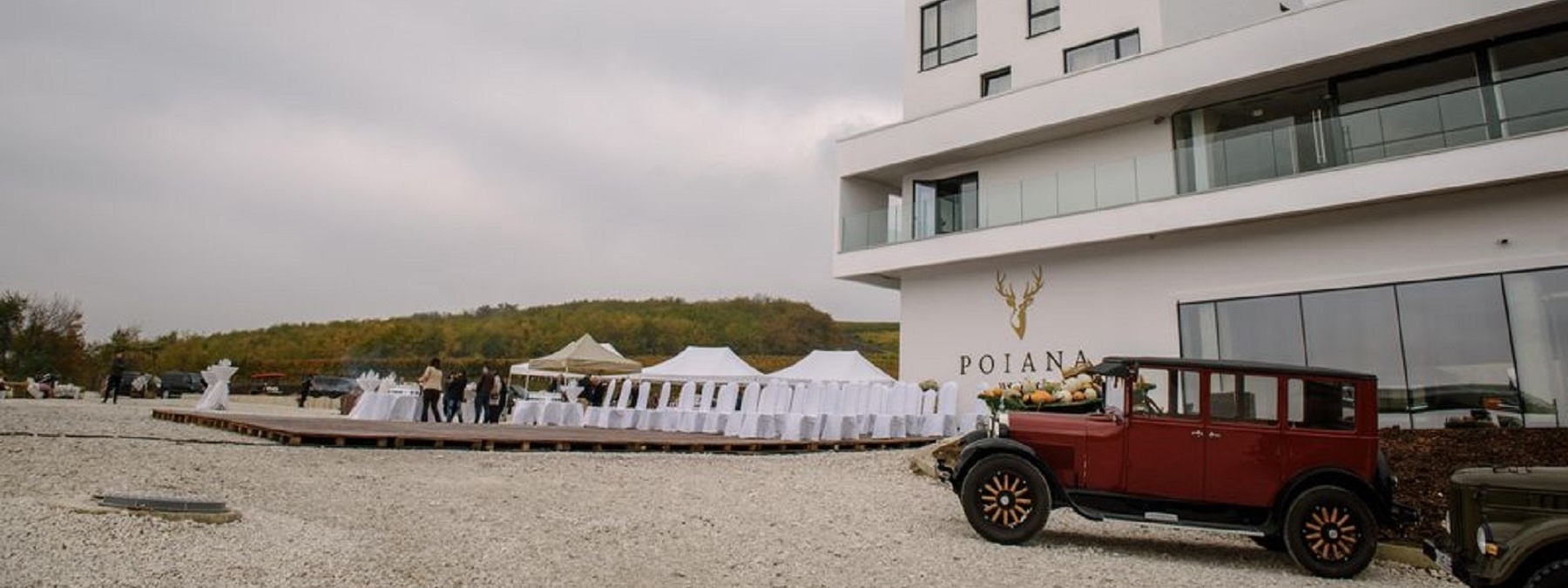 Excursii Vinăria Poiana – Natură, Vinuri Eco și Apusuri Spectaculoase ...