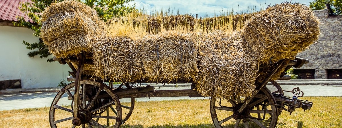 Rural tourism in Moldova - Winetours