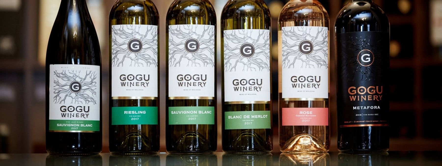 Gogu Winery – Premium Wines and Tasting Experiences in Căușeni - Winetours